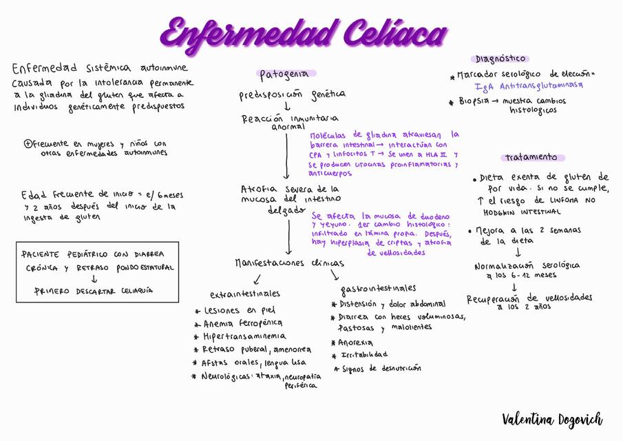 Enfermedad Celiaca (esquema) | Valen Dogovich | uDocz