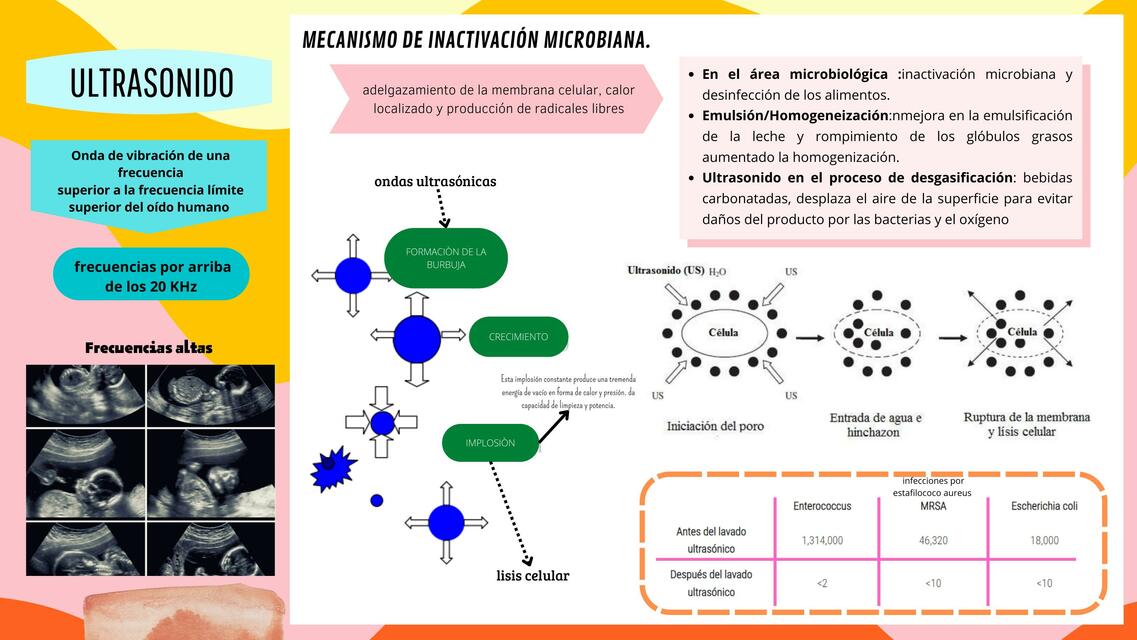 Resúmenes de Inactivación Microbiana | Descarga apuntes de Inactivación ...