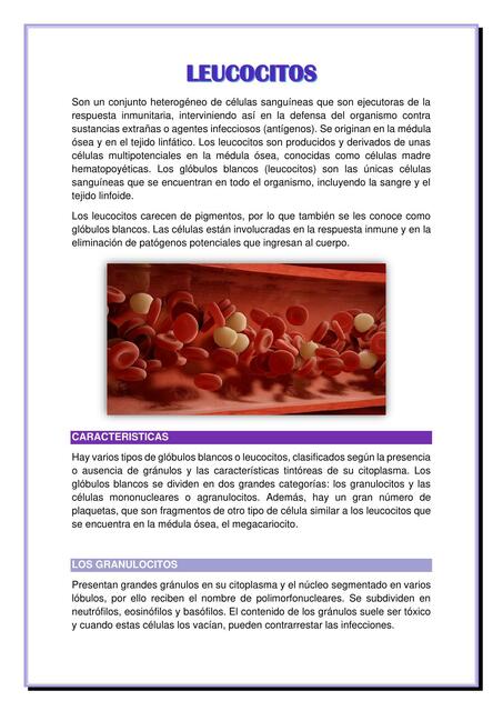 Leucocitos fisiología | Lilibeth Zambrano | uDocz