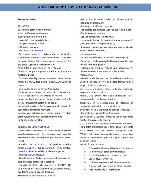 ANATOMIA DE LA PROTUBERANCIA ANULAR tema 4 | MedByIsrael | uDocz