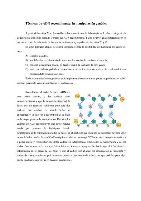 Técnicas de ADN Recombinante: La Manipulación Genética | Textsingenieria | uDocz