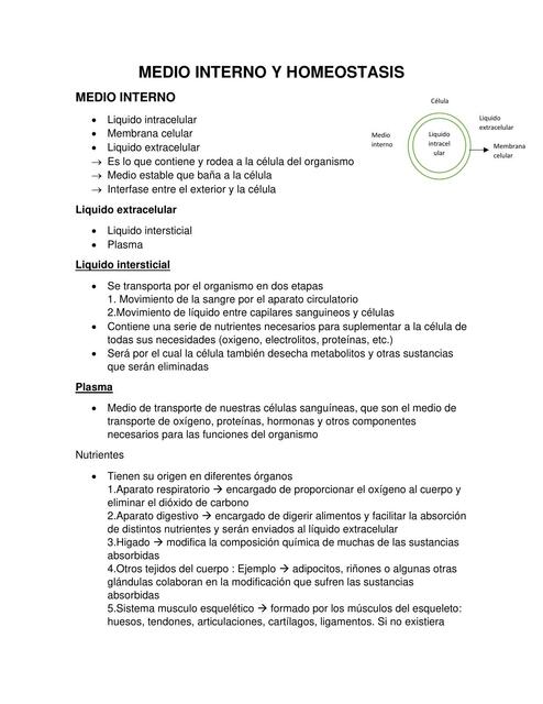 Medio Interno y Homeostasis | ClaudiaLga | uDocz