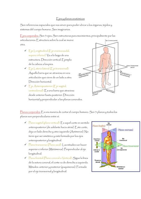 Resumen planos y ejes Semana 01 | George eduardo Cañote | uDocz
