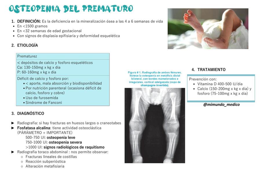 Resúmenes de Osteopenia leve | Descarga apuntes de Osteopenia leve