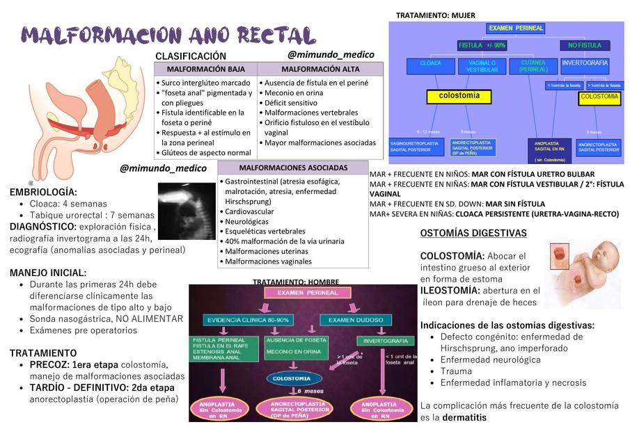 Malformación Anorectal | Laura | uDocz