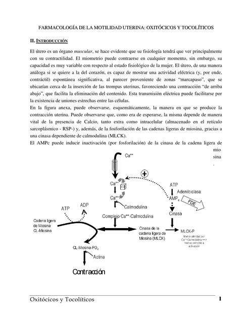 Farmacología de la Motilidad Uterina Oxitócicos y Tocolíticos ...