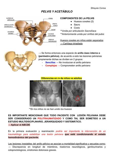 Pelvis y acetábulo | MEDilove | uDocz