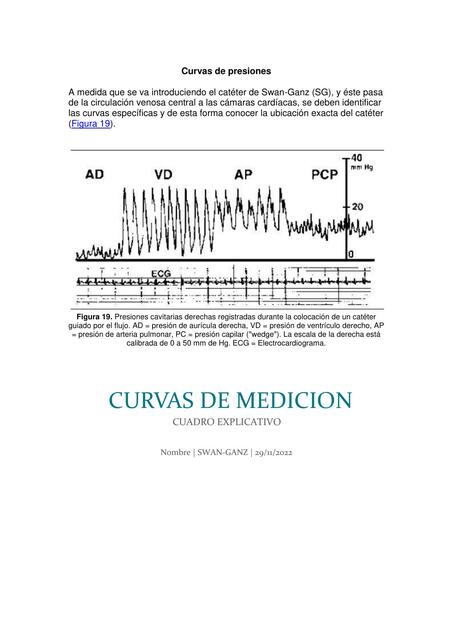 Curvas de Presiones | oscar ramirez | uDocz