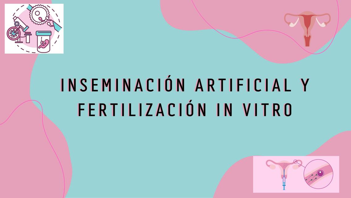 Inseminación artificial y fertilización in vitro | Alejandra Miranda ...