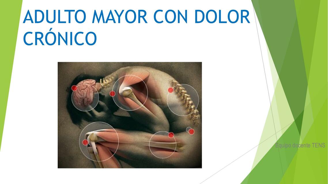 Adulto Mayor con Dolor Crónico | Elizabeth Peralta Bahamondes | uDocz