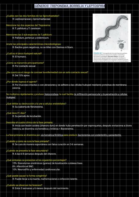 Géneros Treponema, Borrelia y Leptospira | Zahira Valdez | uDocz