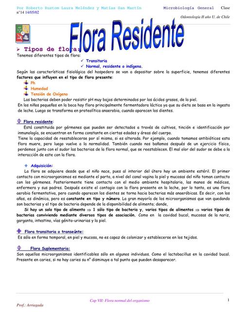 Resúmenes de Flora transitoria | Descarga apuntes de Flora transitoria