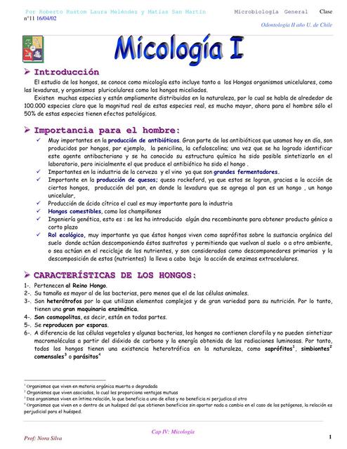 Micología I | YUDOC.ORG | uDocz