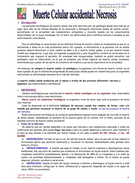 Muerte Celular Accidental Necrosis | YUDOC.ORG | uDocz