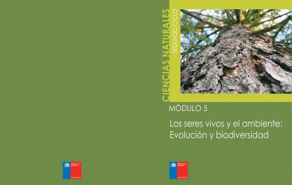 Resúmenes de Seres Vivos y el Ambiente | Descarga apuntes de Seres ...