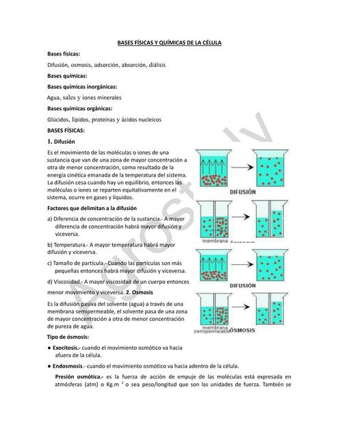 Hoja De Trabajo Sobre Difusión Y ósmosis: Respuestas 1.24: Los