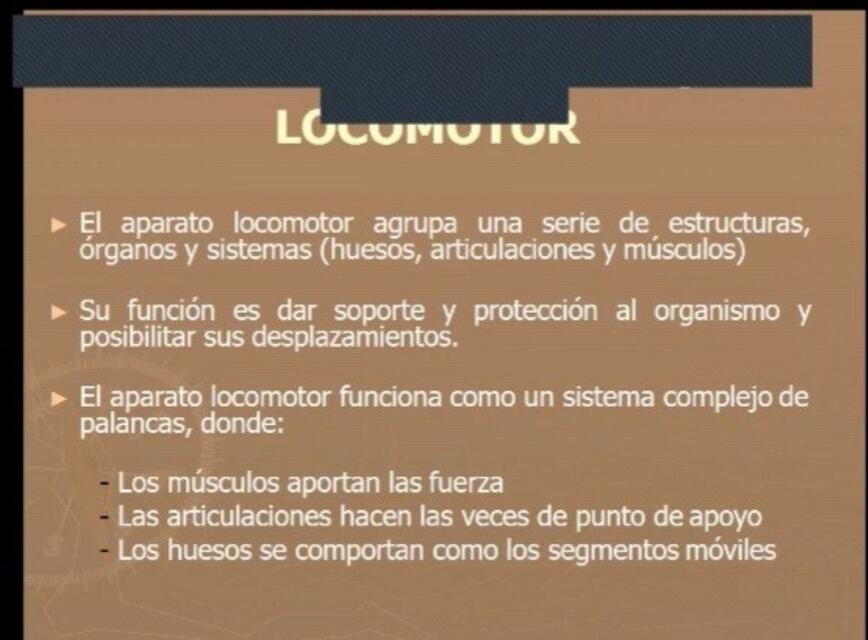 Aparato Locomotor | Rosalba Franco | uDocz