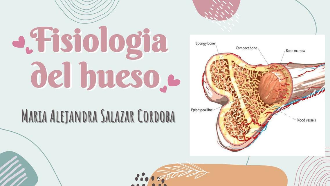 Fisiología del Hueso | Alejandra Salazar | uDocz