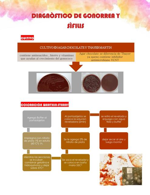 Gonorrea y Sífilis | Jheniffer | uDocz