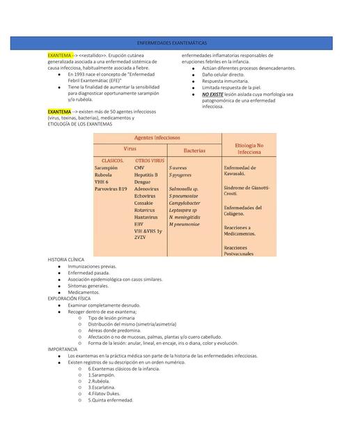 Enfermedades exantemáticas | Rubí García | uDocz