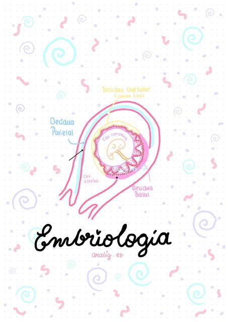 Embriología | uDocz
