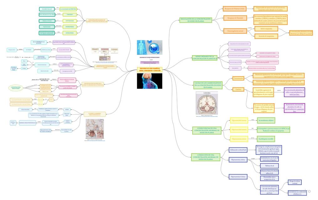 Trastornos del Sodio Plasmático: Causas, Consecuencias y Corrección ...