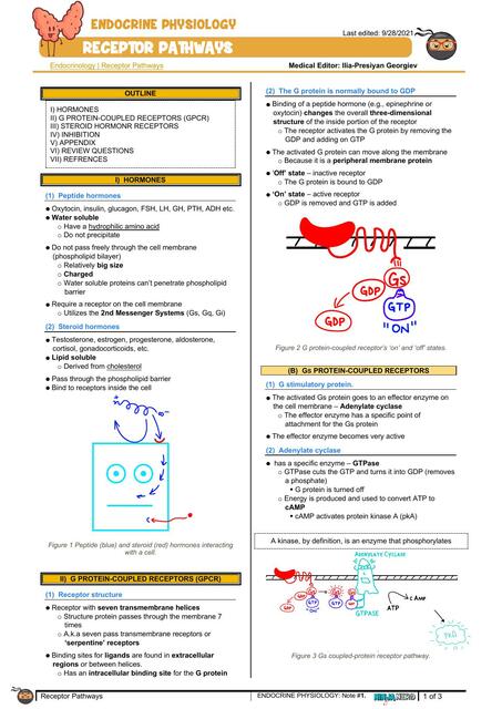 Endocrinology Physiology Receptor Pathways | Dr.Villanueva | uDocz