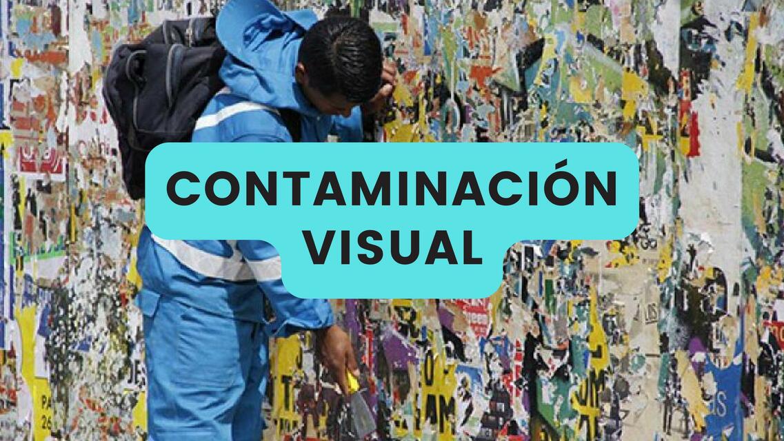 Contaminación visual | INDUX | uDocz