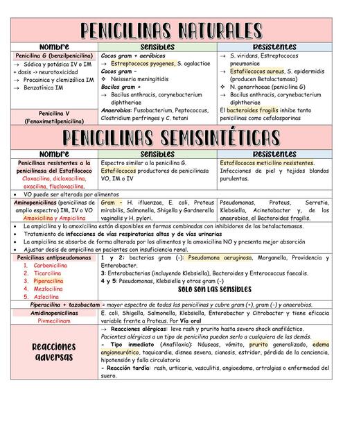 Penicilinas | Camila Dominguez | uDocz