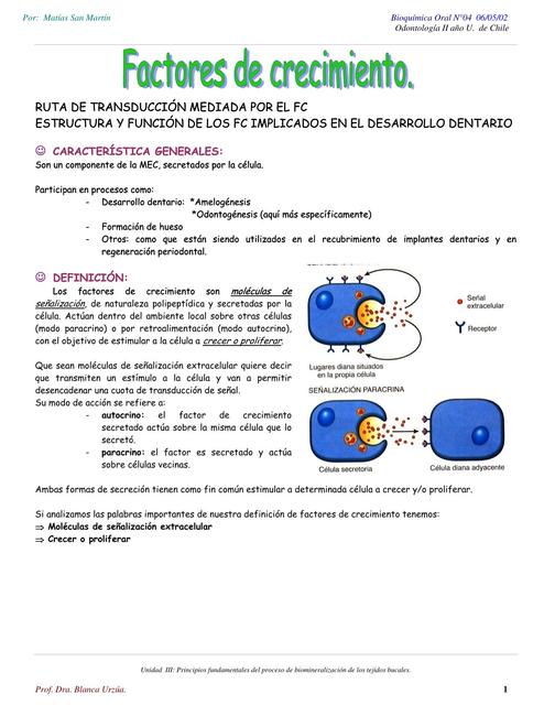 Factores de crecimiento diente | YUDOC.ORG | uDocz