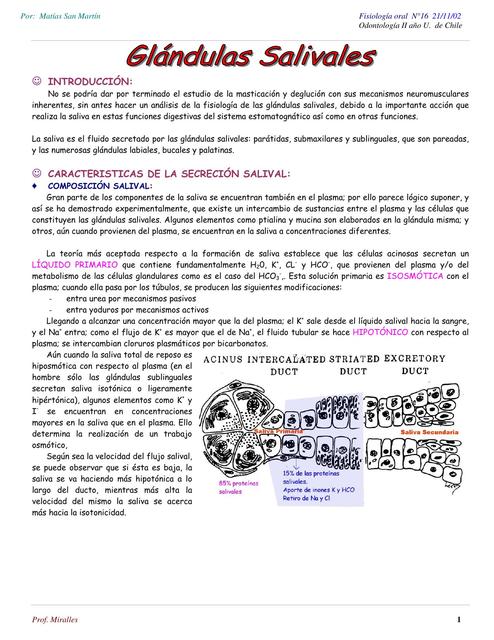 Glándulas Salivales | YUDOC.ORG | uDocz