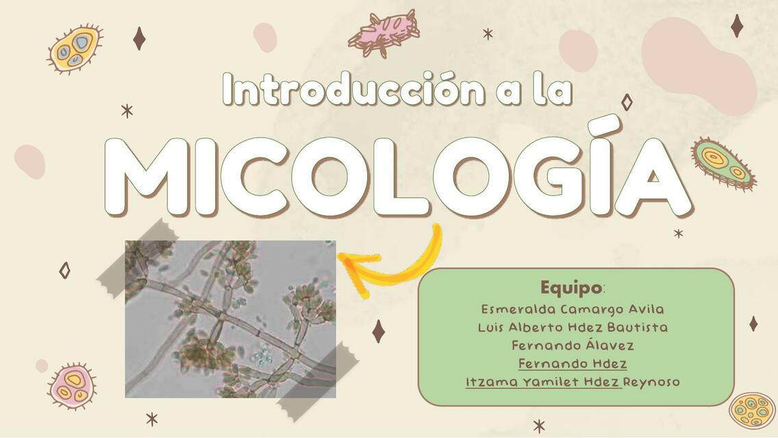 Clasificacion, estructura y replicación de los hongos | uDocz