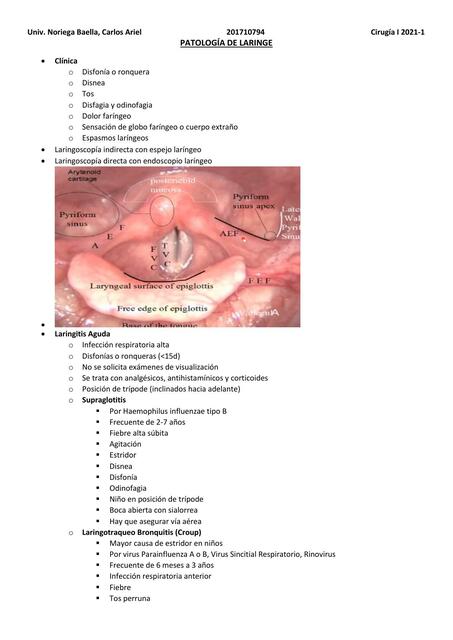 Patología de laringe | Carlos Ariel Noriega Baella | uDocz