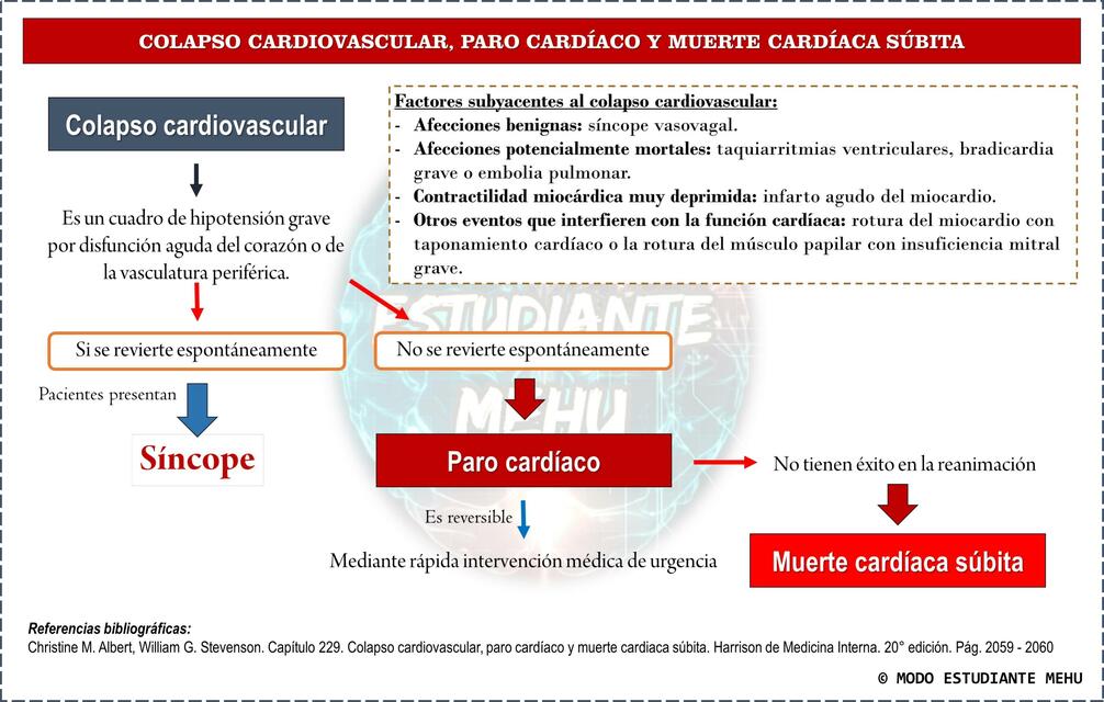 Colapso Cardiovascular, Paro Cardiaco y Muerte Cardíaca Súbita