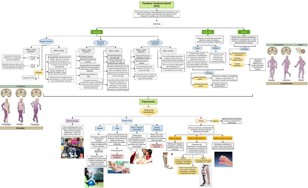 Parálisis Cerebral Infantil | MARCIA | uDocz