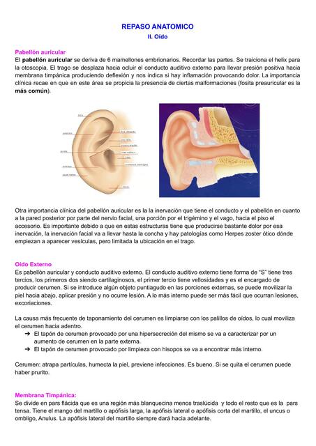 Repaso Anatómico de oído | MEDilove | uDocz