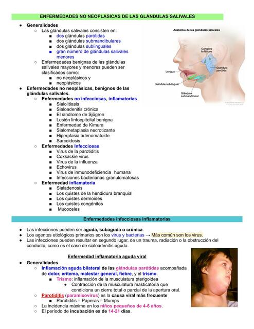 Enfermedades no neoplásicas de las glándulas salivales | MEDilove | uDocz