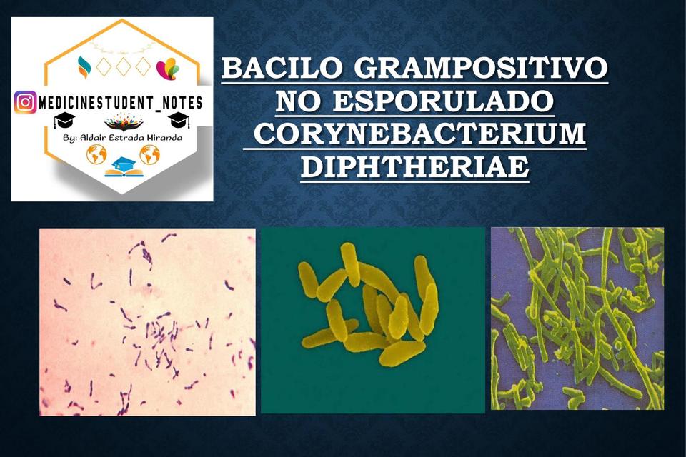 Expo virologia | uDocz