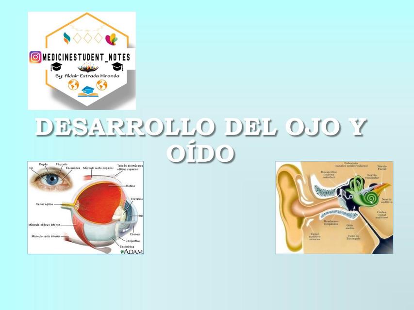 Embriologia de ojos y oidos
