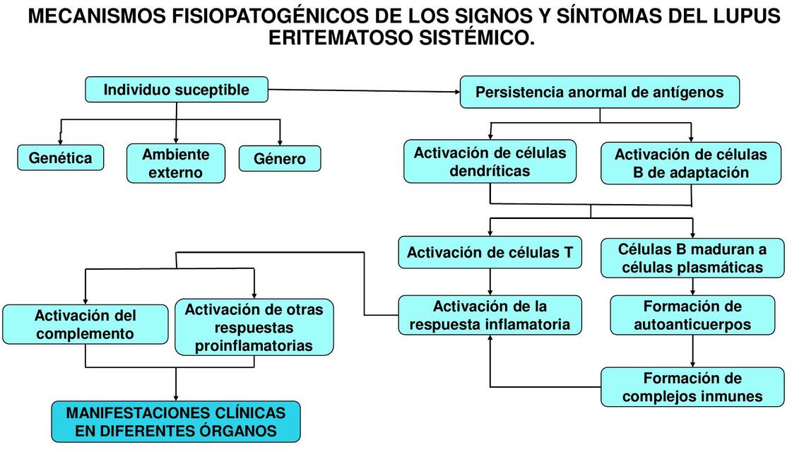 Mecanismos fisiopatogénicos de los signos y síntomas del Lupus ...