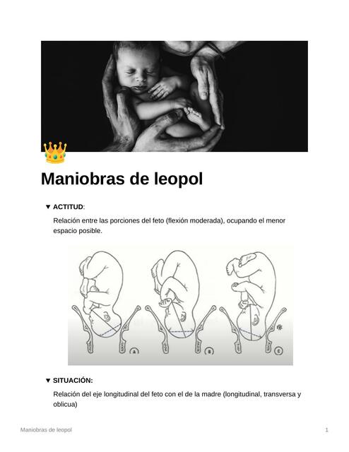 Maniobras de leopol | ESPM MEDICINA | uDocz