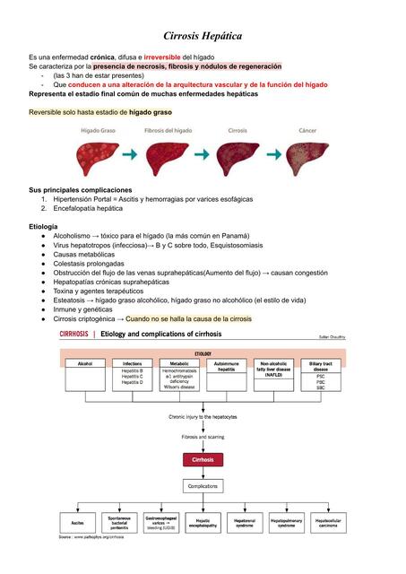 Cirrosis hepática | MEDilove | uDocz