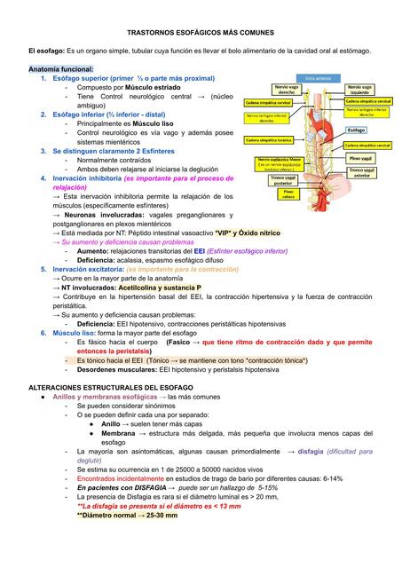 Trastornos esofágicos más comunes | MEDilove | uDocz
