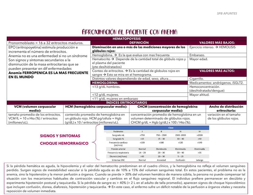 Aproximación al paciente con anemia | Sofi Apuntes | uDocz