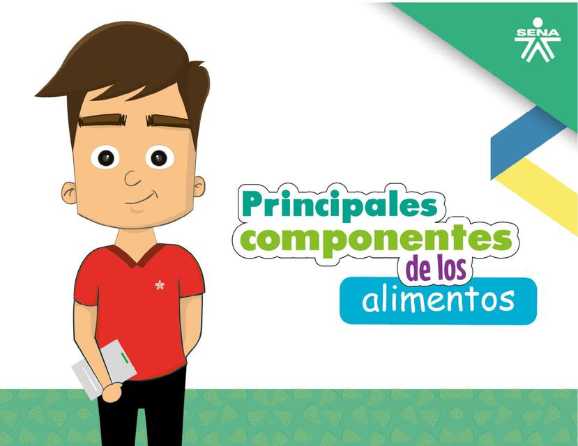 Principales componentes alimentos | Marian Ferrer | uDocz