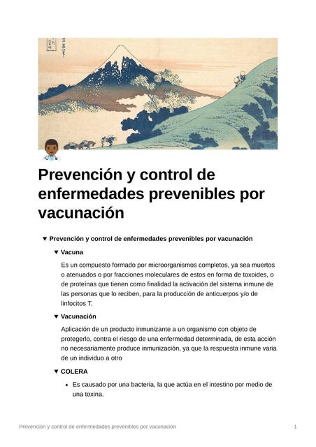 Prevención Y Control De Enfermedades Prevenibles Por Vacunación Espm