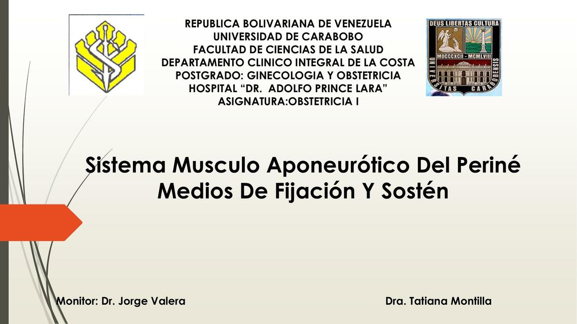 Músculos del Periné | tatiana montilla | uDocz