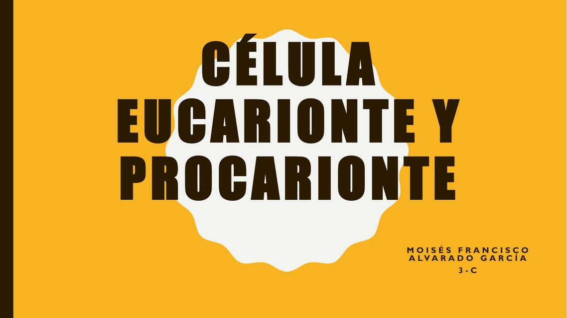 Célula Eucarionte y Procarionte | Moisés Francisco Alvarado García | uDocz Célula Eucarionte y Procarionte | Moisés Francisco Alvarado García | uDocz