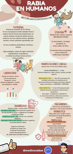 Resúmenes de Rabia humana | Descarga apuntes de Rabia humana