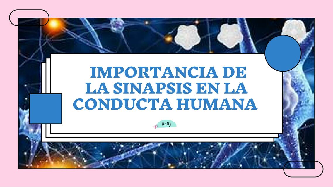 Importancia de la sinapsis en la conducta humana | Lylo | uDocz